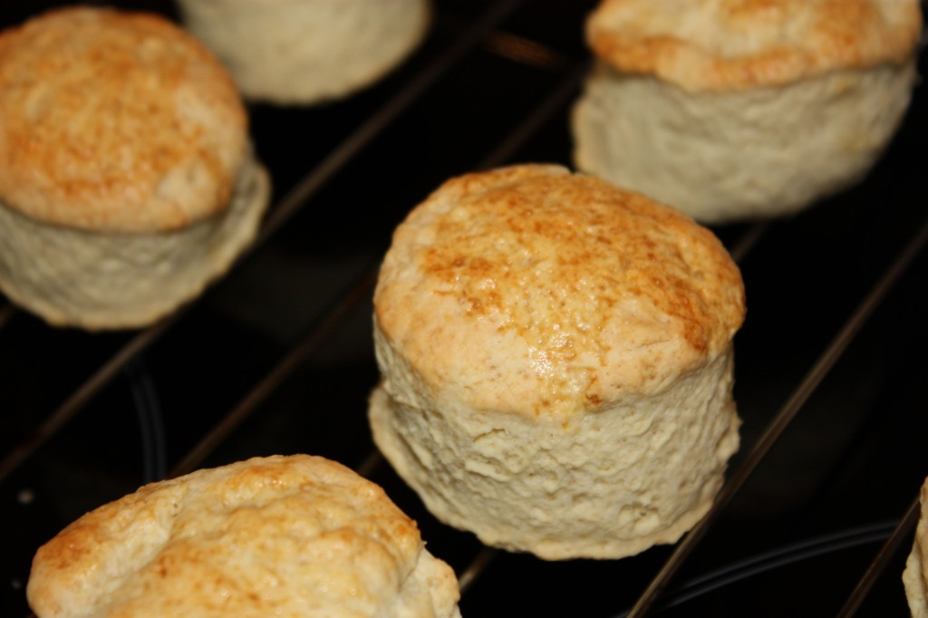 Tea Time Scones - Mary Berry - Bakeholics